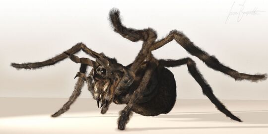 Category:Images of Shelob - Tolkien Gateway