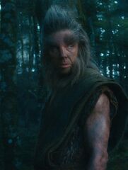 File:The Hobbit - The Desolation of Smaug - Beorn.jpg - Tolkien Gateway