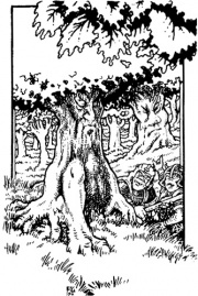 Huorns - Tolkien Gateway